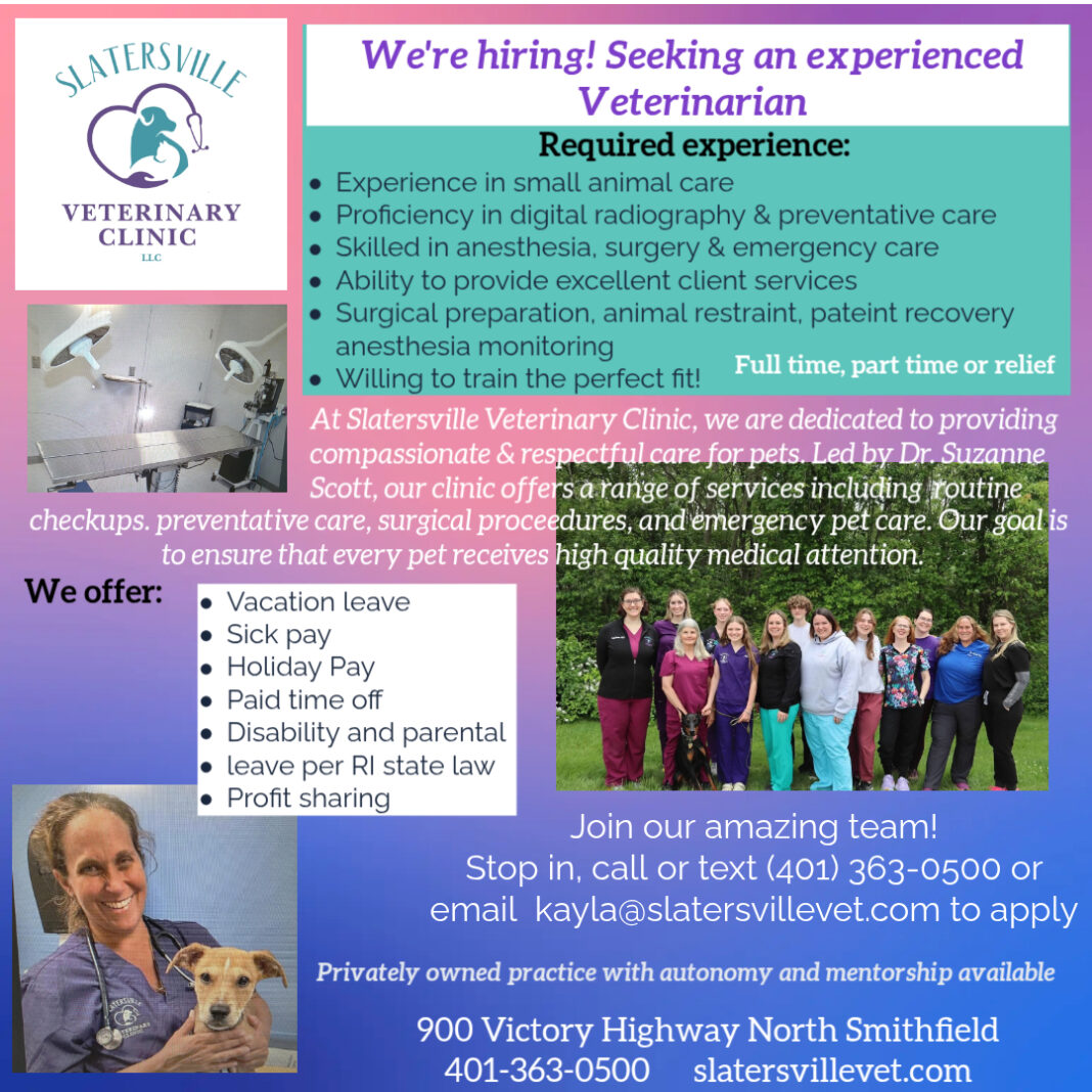 Newberry bill looks to eliminate Mr. Potato Head license plate - NRI NOW